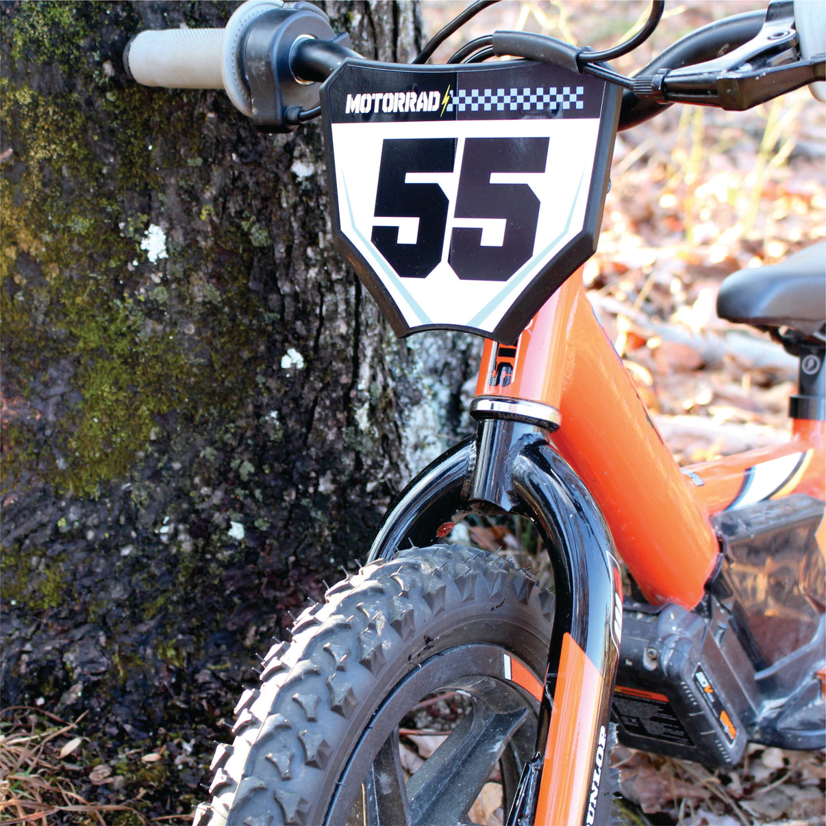 SPEED SHOP STACYC / STRIDER NUMBER PLATE WITH CUSTOM BACKGROUND ...